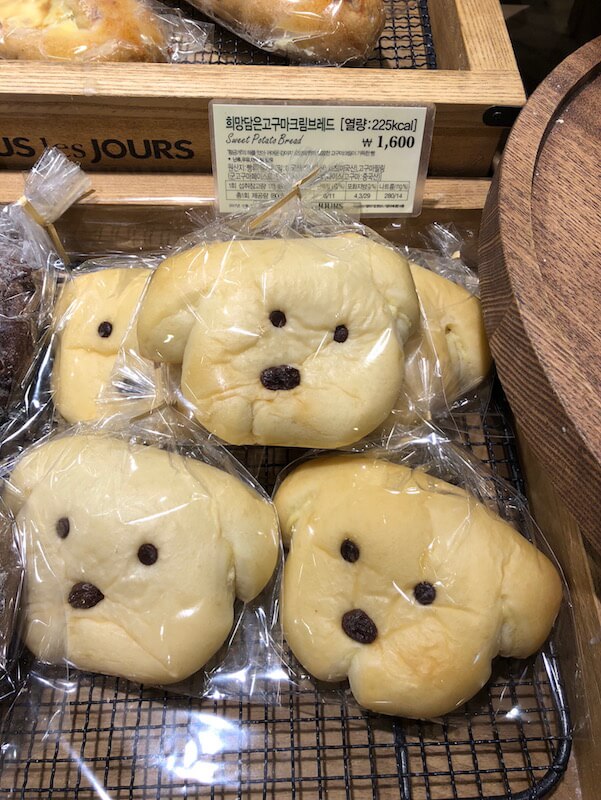 puppy bread Korea • Frank Morin